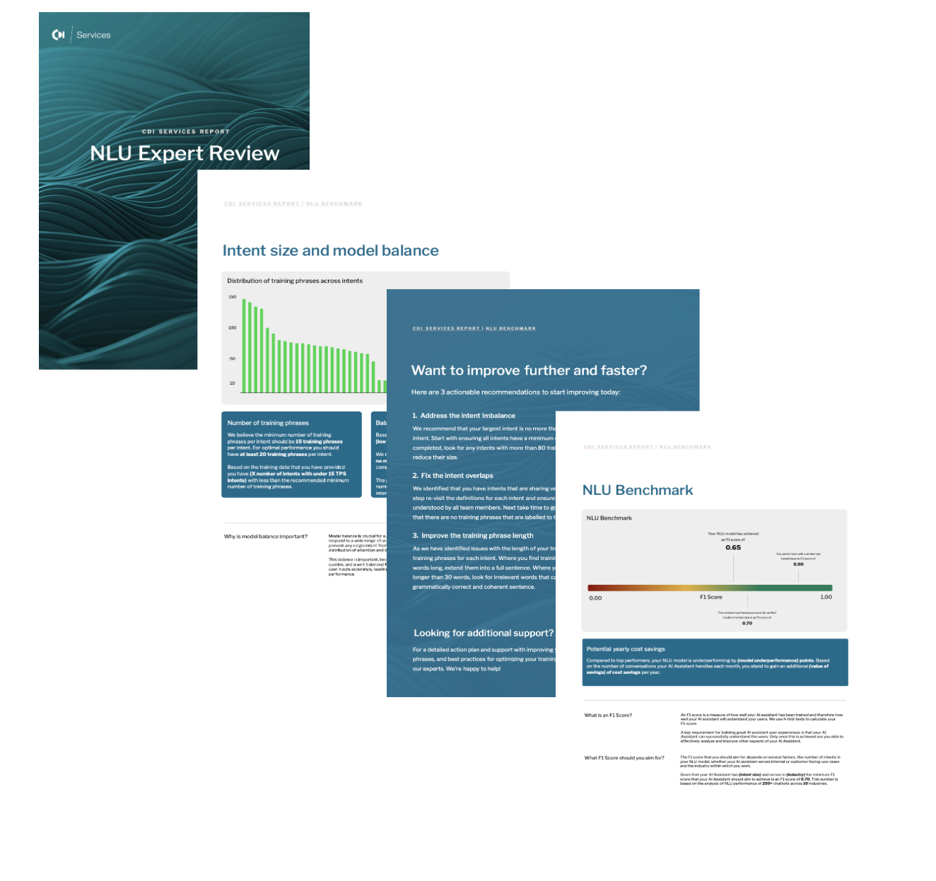 CDI Services NLU Expert Review